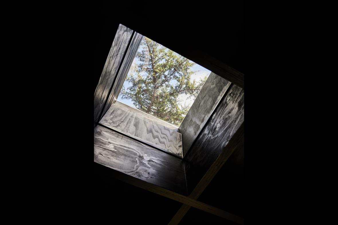 What made this project… A Room Around a Tree by Tikari Works | Features ...